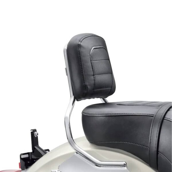 Passenger Backrest Pad – Mid-Sized – Low Rider Styling | Harley ...