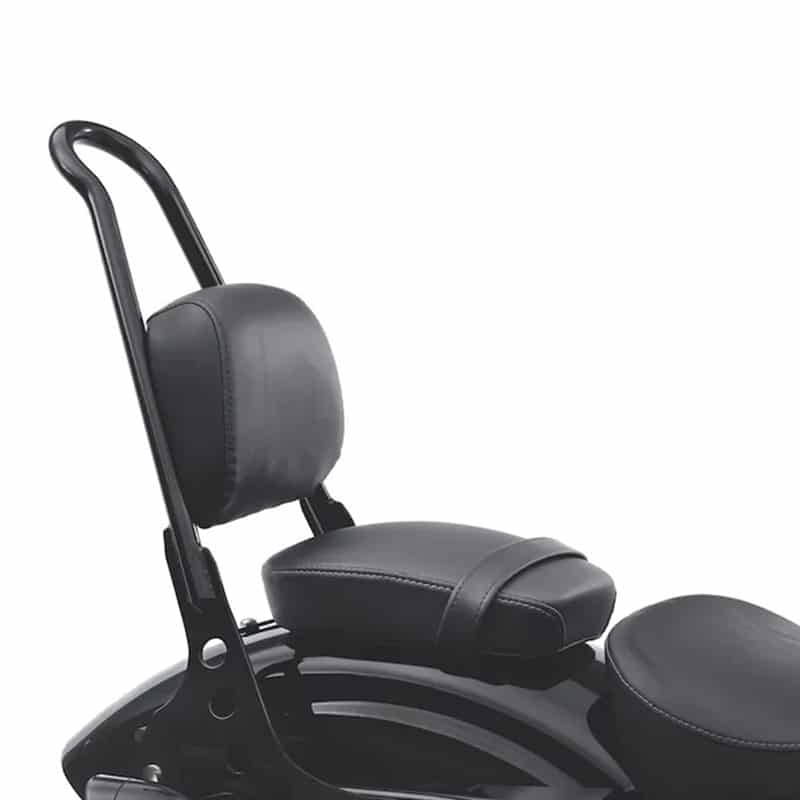 passenger pillion | Harley-Davidson® Online
