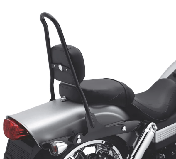 One-Piece H-D Detachables Sissy Bar Upright | Harley-Davidson® Online